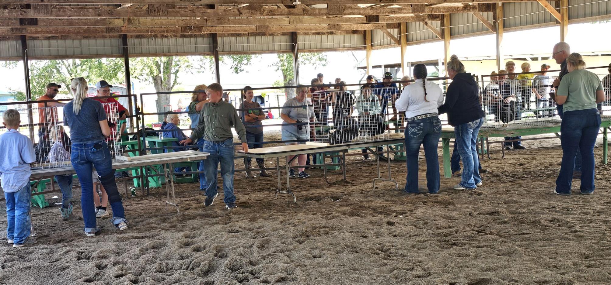 Good News: Hamlin County 4-H Achievement Days, Aralyn Jurrens Crowned ...