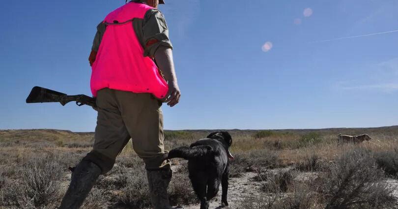 Pink garment hunting bill passes Senate, now on to the governor | State ...