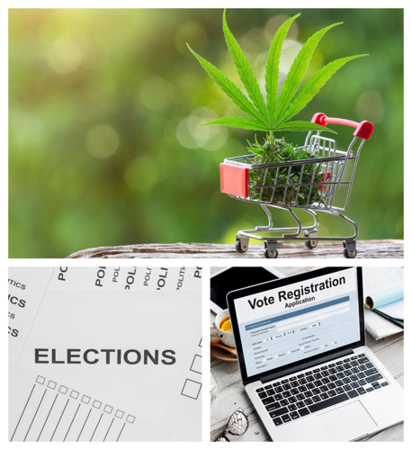 SD Cannabis Legalization Campaign Makes Significant Strides and Submits Signatures to be on ...