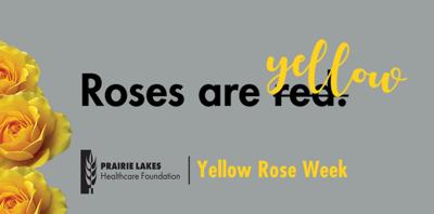 Good News Story - Yellow Rose Week a Huge Success | Local News | mykxlg.com