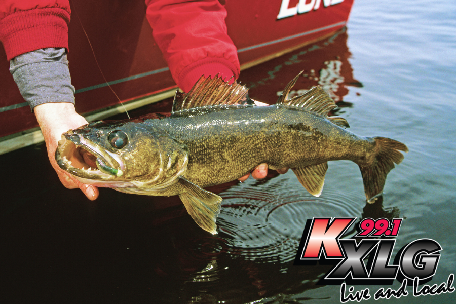 Mercury Levels Prompt Updated Fish Consumption Guidelines in Dry Lake 1 ...