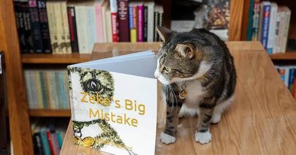 Zeke, Watertown’s Most Famous Cat, is Back. | Local News | mykxlg.com