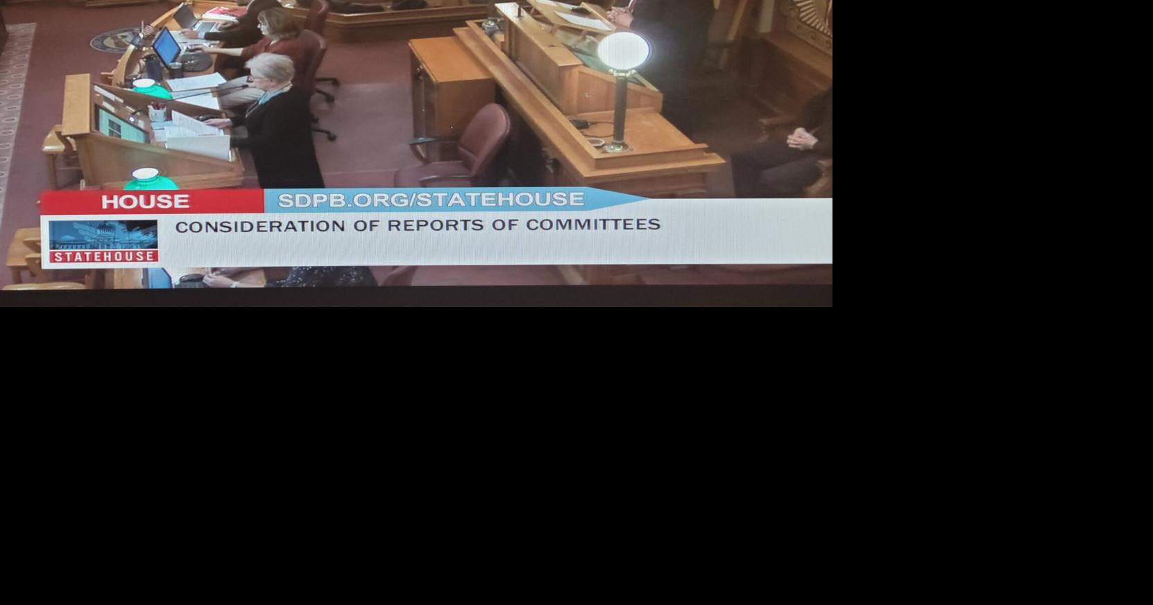 SD House Votes to Impeach Attorney General Jason Ravnsborg - Rep. York ...