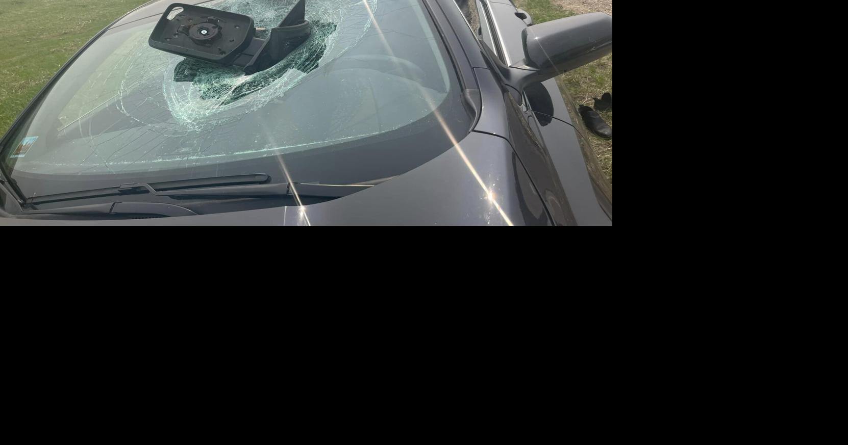 Deer hits truck causing mirror to break off and shatter oncoming ...