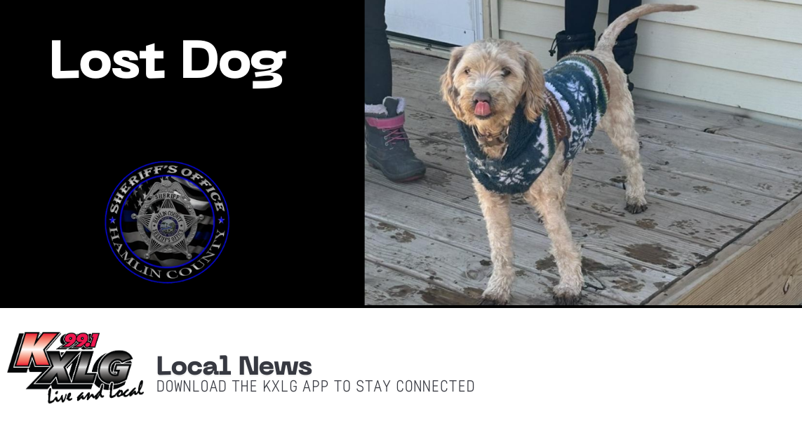 Hamlin County Sheriff Seeking Owner of Dog Running at Large in Hayti ...