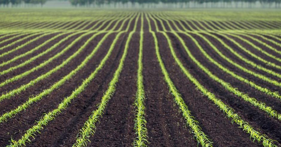 South Dakota planting and production figures released | | mykxlg.com