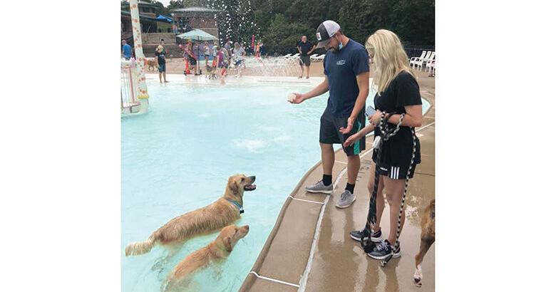 Arnold Pooch Plunge to be held Sept. 7 at rec center | Local Events ...