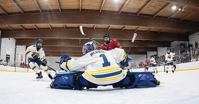 Seqason recaps for Fox, Seckman ice hockey teams | Sports ...