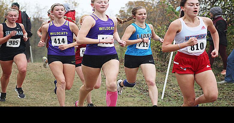 Festus, Herculaneum boys win district cross country titles | Sports | myleaderpaper.com