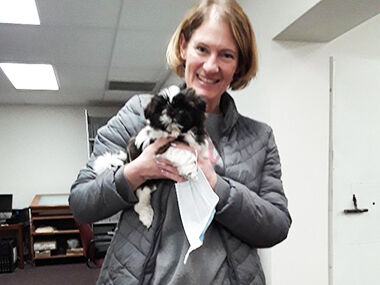 Pet spot: Harley’s arrival brightened Christmas season | Pet Photos ...