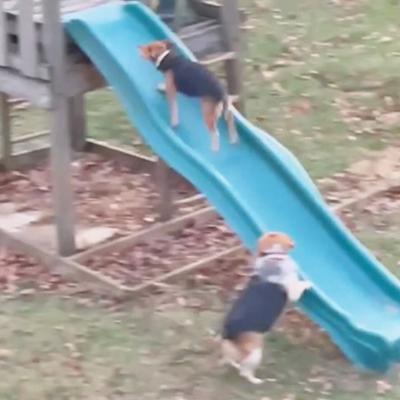 kid falling down slide