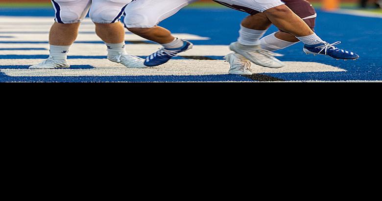 Hawks’ future gets fresh look | Sports | myleaderpaper.com