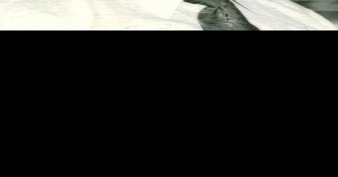 Stephen ‘Ike’ Stevens, 92, Crystal City | Obituaries | myleaderpaper.com