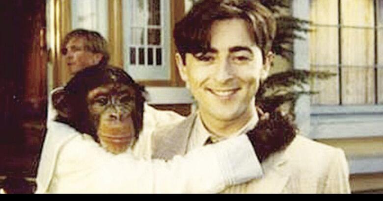 Chimp missing from Festus-area facility found | Local News ...