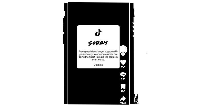 Goldie Lowe calls brief TikTok ban into question | Columns ...