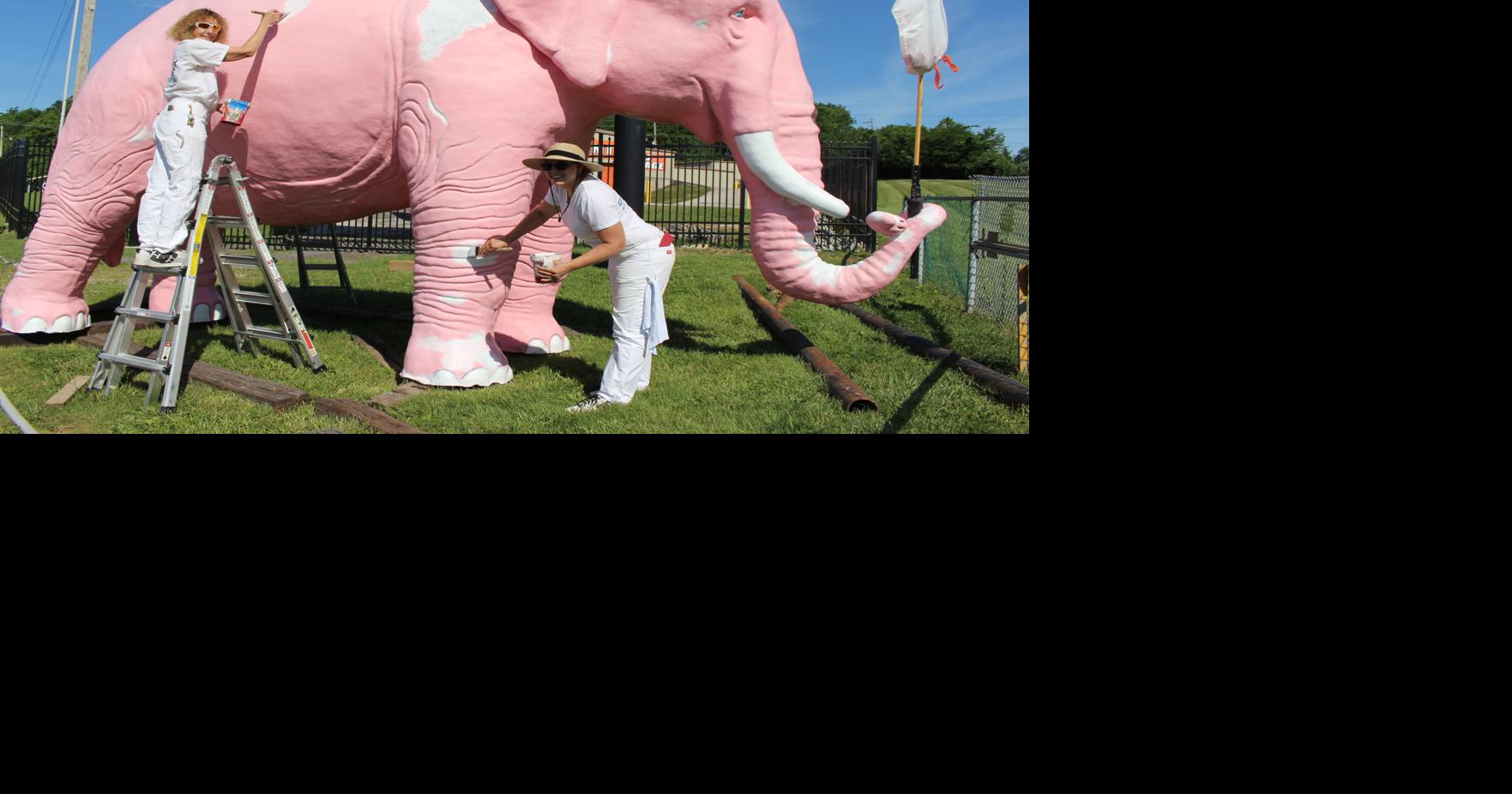 ICYMI: Fenton pachyderm is in the pink(er) | Local News | myleaderpaper.com