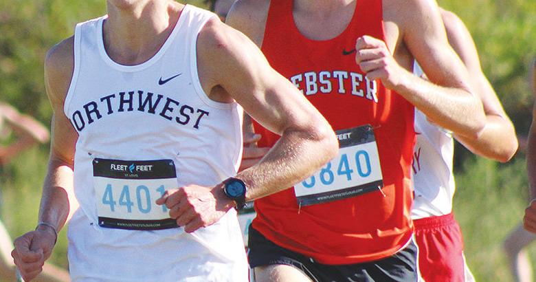 Lions on correct course with Poskin leading way | Sports ...