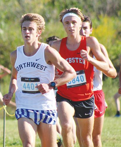 Lions on correct course with Poskin leading way | Sports ...