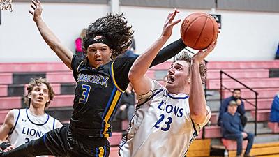 Higgins goes on scoring, rebounding spree for Lions | Sports ...