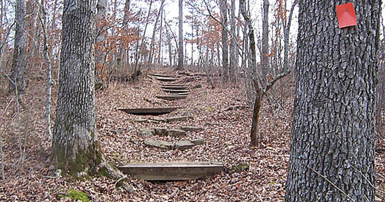 OUTDOORS: Bows for Birds helps to enjoy a winter walk | Sports ...