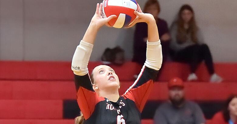 Blue Jays, Owls are defending JCAA champions | Sports | myleaderpaper.com