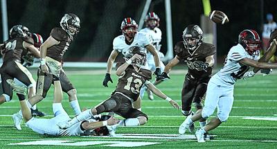 Freeman was head coach at Hillsboro until 2019 | Sports | myleaderpaper.com