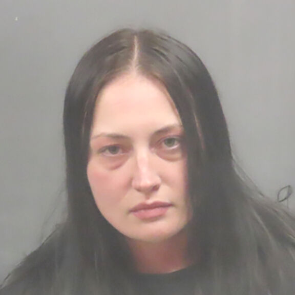 Erica Meyer charged Dec. 1 with robbery, assault | Police Fire ...