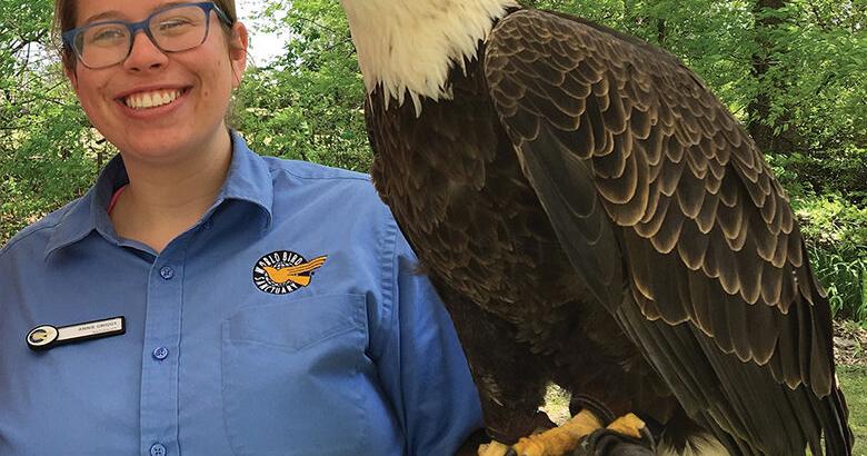 Winter is perfect time for bird watching in Missouri | Sports ...