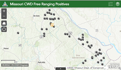 Mandatory testing finds first case of CWD in county | Sports ...