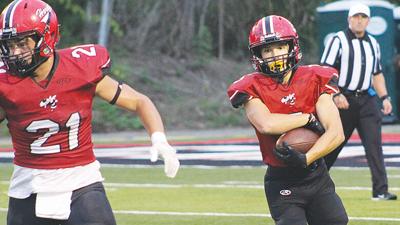 Move out of I-55 Conference helped Hornets get sting back | Sports ...