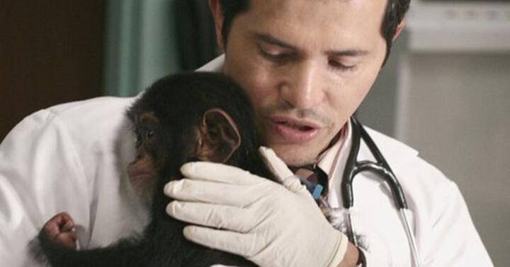 Chimp from Festus business to appear on ‘ER’ | Chimp | myleaderpaper.com