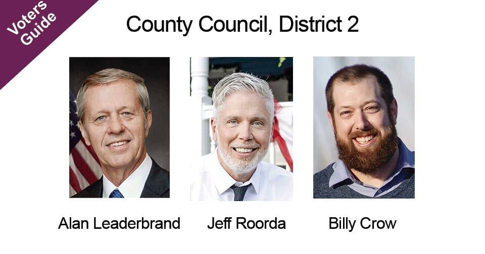 Three vie to win District 2 council seat | Elections | myleaderpaper.com
