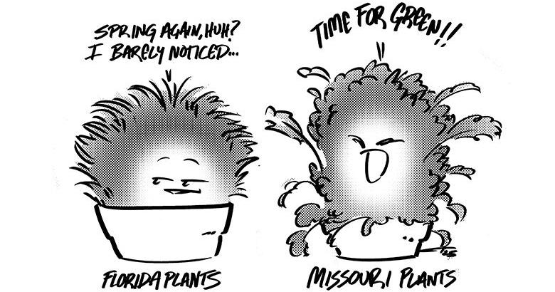 Laura Marlow compares seasons of Missouri, Florida | Columns ...