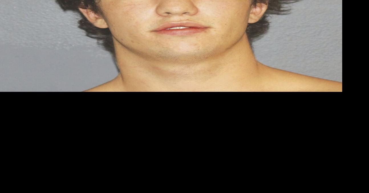 Goughenour charged Aug. 28 for attacking teenager | Police Fire ...