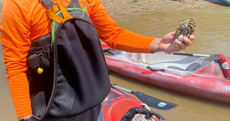 Natural resources kayak float trip focuses on exotic species | Sports ...