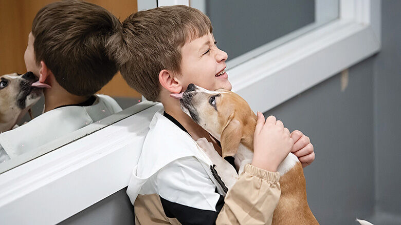 House Springs Elementary students paint portraits for dogs | Local News ...