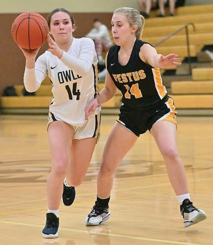 Hillsboro has won last two JCAA large-schools titles | Sports ...