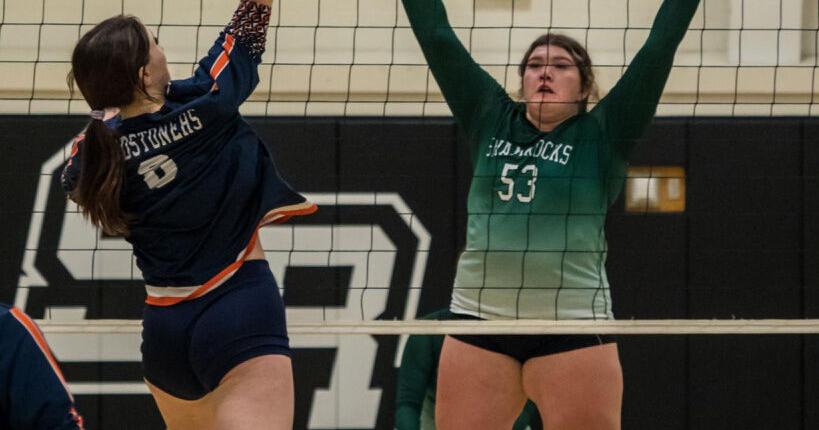 Shamrock spikers bounce back, down Sandstoners | Local Sports ...