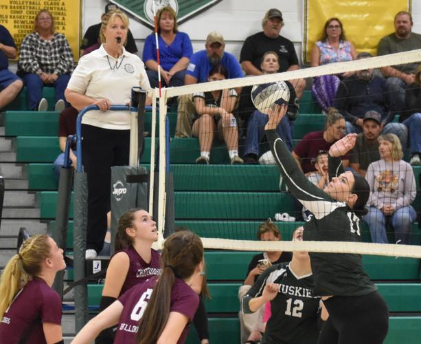 Bulldogs spikers sweep Huskies in volleyball action | Local Sports ...