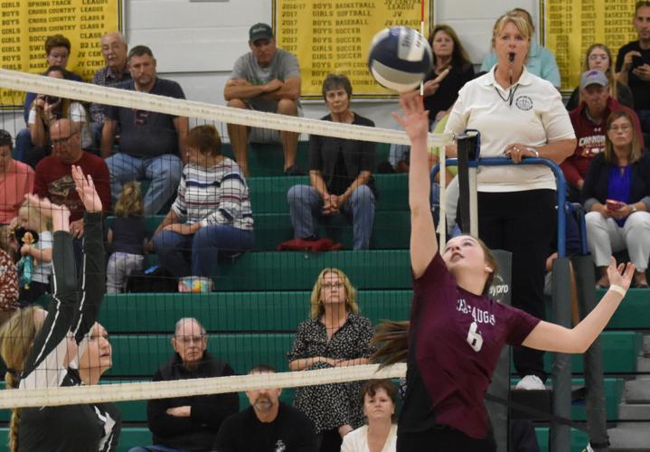 Bulldogs spikers sweep Huskies in volleyball action | Local Sports ...