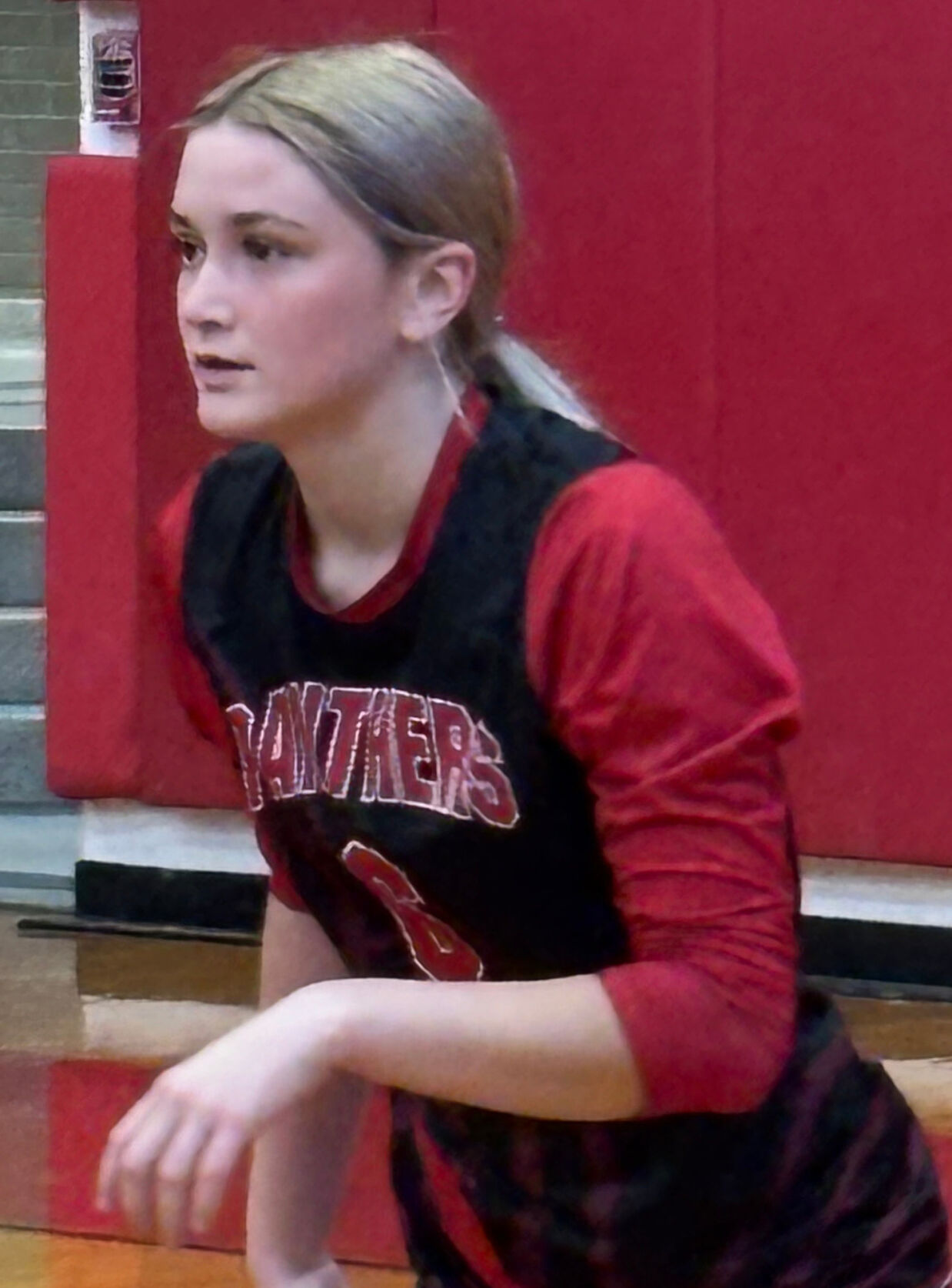Bulldogs sweep Panthers, advance to Section 10 Championship | Local ...