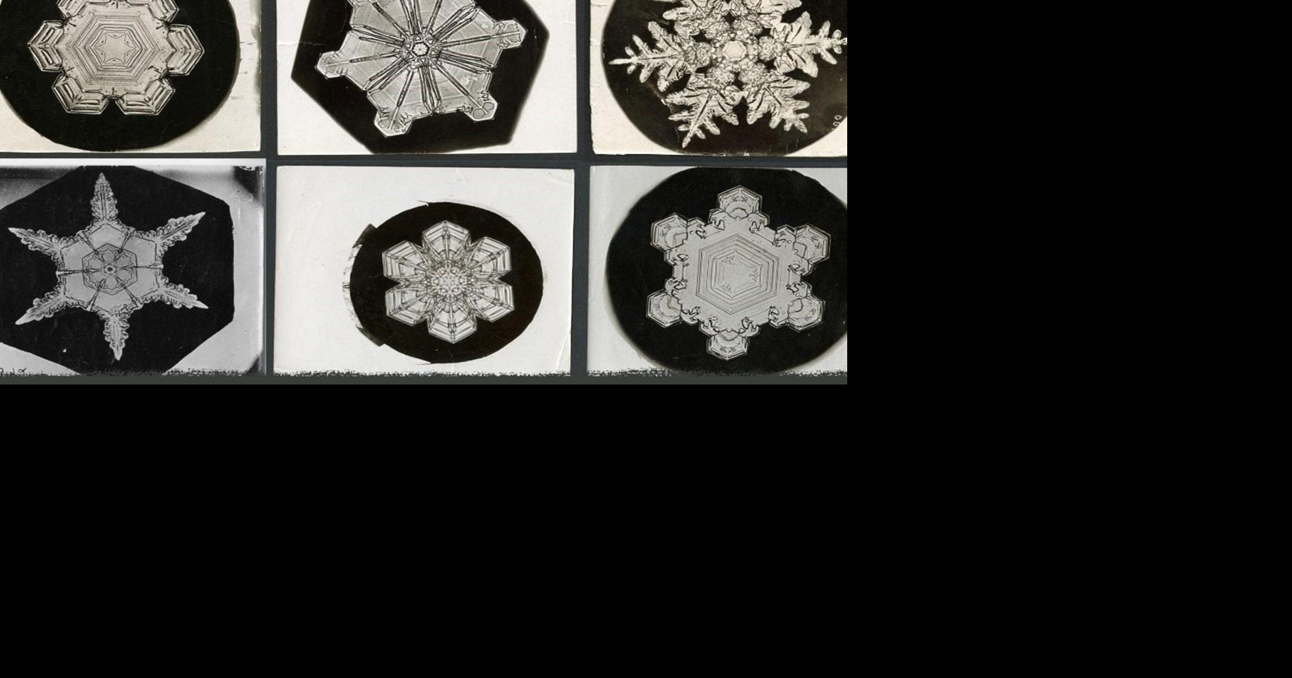 The beauty of a snowflake | Columns | mymalonetelegram.com