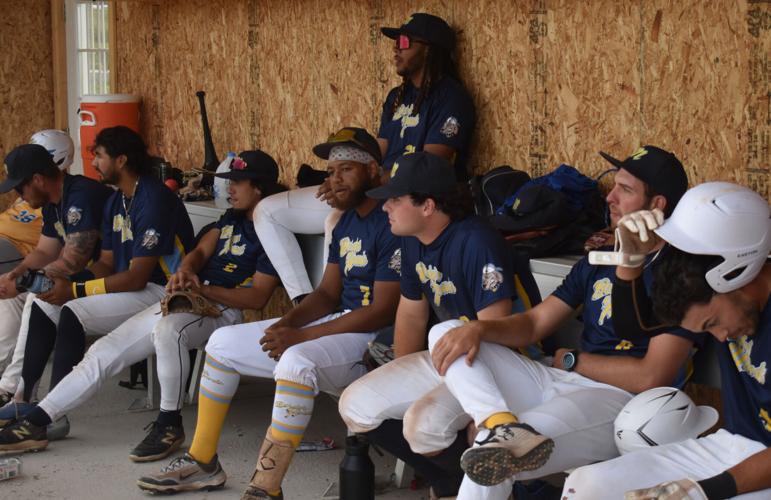 Border Hounds in finals; championship starts Saturday | Top Stories ...