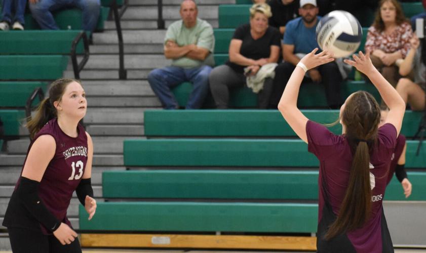 Bulldogs spikers sweep Tupper Lake | Local Sports | mymalonetelegram.com