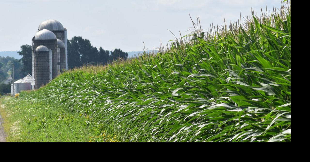Nominations wanted for ‘Women in Agriculture’ awards | Public Service ...