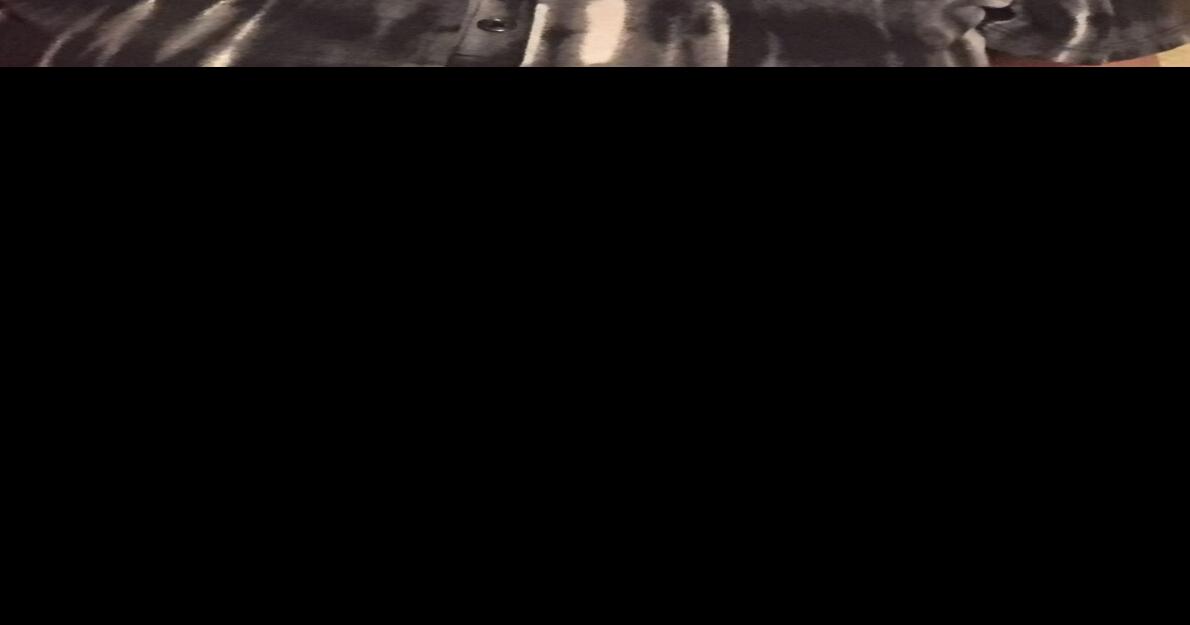 Diane Elizabeth Nelson | | mymalonetelegram.com