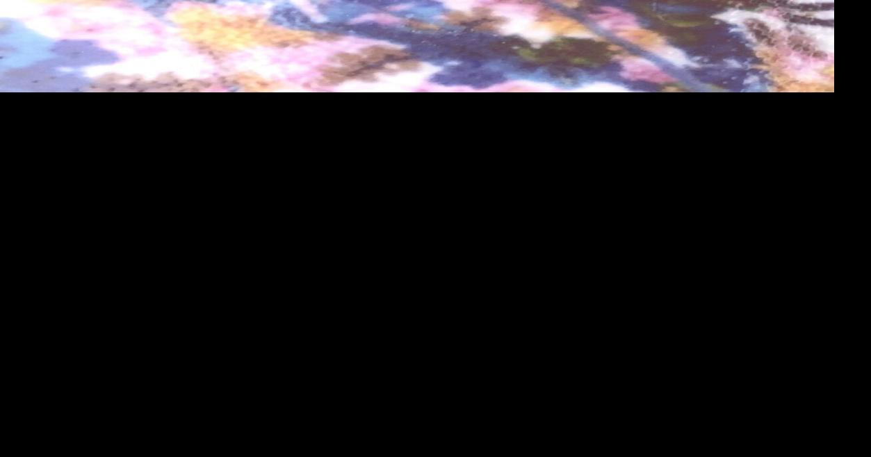 Elaine M. (Bush) LaVare | Obituaries | mymalonetelegram.com