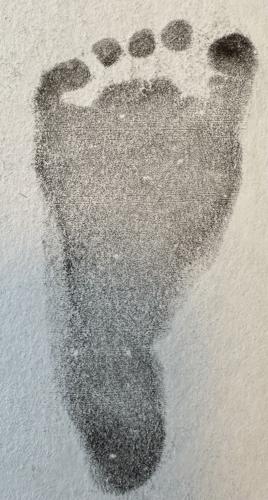 Evangeline Florence Dillabough | | mymalonetelegram.com