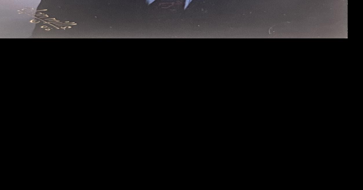 John Cranston Duroe | | mymalonetelegram.com