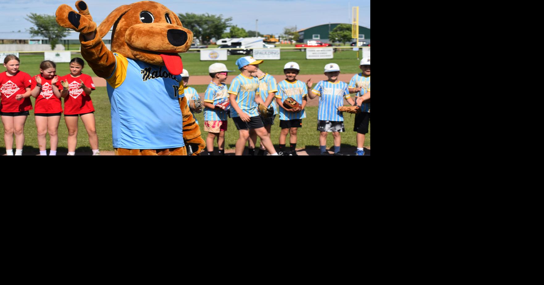Border Hounds win opener | Public Service News | mymalonetelegram.com
